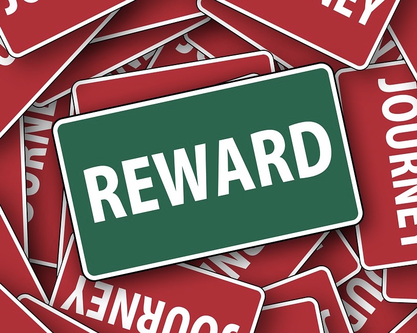 Ist Belohnung ein geeigneter Anreiz zur Veränderung und Verbesserung ...